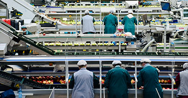 Σεμινάριο: ISO 22000:2018 - Σύστηματα Διαχείρισης Ασφάλειας Τροφίμων ...